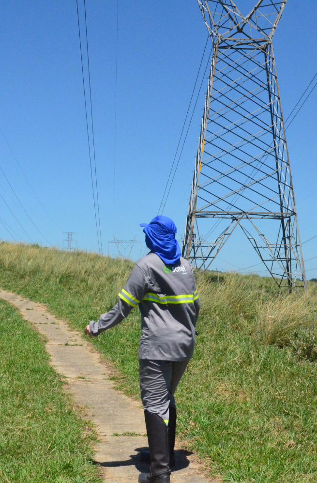 Satel Brasil